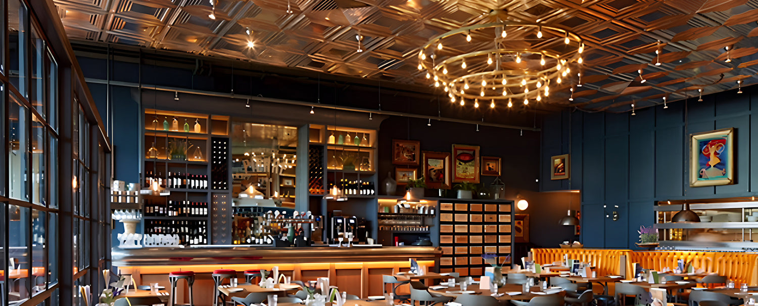 Metal Ceiling Design Ideas & Inspiration | Shanko